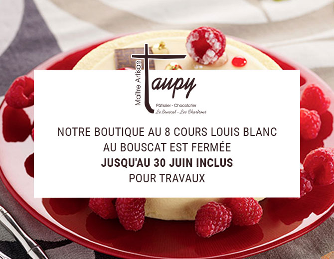 Bûches de Noël - Taupy patissier chocolatier à Bordeaux.